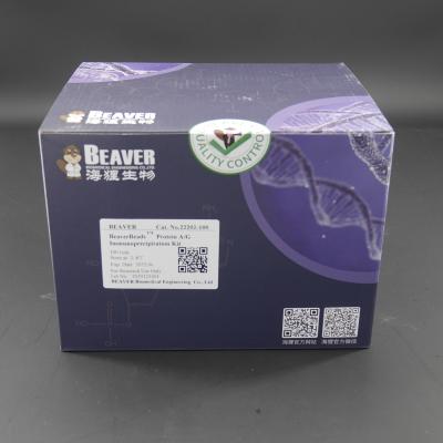 China 10 mg/mL Protein A/G Magnetic Beads Immunoprecipitation Kit - 100 Reactions with 0.5-0.6 mg/mL IgG Capacity for sale