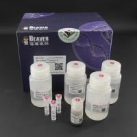 China 10 mg/mL Protein A/G Magnetic Beads Immunoprecipitation Kit - 100 Reactions with 0.5-0.6 mg/mL IgG Binding Capacity for sale