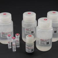 China 10 mg/mL Protein A/G Magnetic Beads Immunoprecipitation Kit - 100 Reactions with 0.5-0.6 mg/mL IgG Binding Capacity for sale
