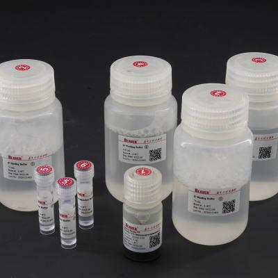 China 10 mg/mL Protein A/G Magnetic Beads Immunoprecipitation Kit - 100 Reactions with 0.5-0.6 mg/mL IgG Binding Capacity for sale
