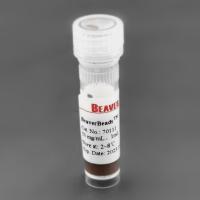 China 300nm Silica Carboxyl Magnetic Beads for DNA Extraction - 50 mg/mL Concentration, 2 Year Shelf Life for sale