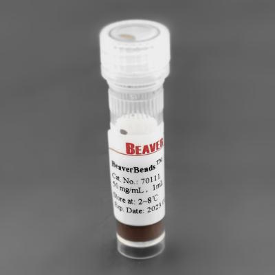 China 300nm Silica Carboxyl Magnetic Beads for DNA Extraction - 50 mg/mL Concentration, 2 Year Shelf Life for sale