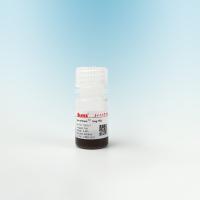 China Amino Magnetic Silica Beads 500nm 10 mg/mL 50 mL for Protein Purification and Nucleic Acid Extraction for sale