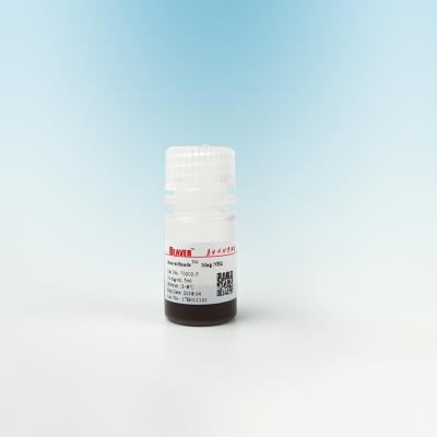 China Amino Magnetic Silica Beads 500nm 10 mg/mL 50 mL for Protein Purification and Nucleic Acid Extraction for sale