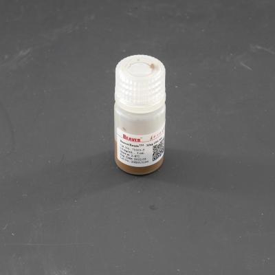 China 1μm Silane Magnetic Beads for DNA Extraction - 10 mg/mL Concentration with 30-50 emu/g Magnetization for sale