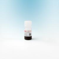 China Silica Hydroxyl Magnetic Beads for DNA Extraction 500nm 10 mg/mL 5 mL for sale