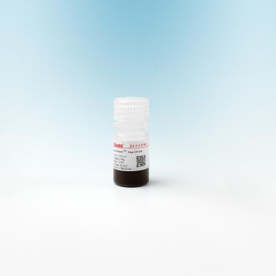 China Silica Hydroxyl Magnetic Beads for DNA Extraction 500nm 10 mg/mL 5 mL for sale