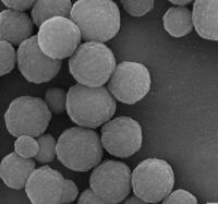 China 500nm Silica Magnetic Beads for DNA Extraction - 50 mg/mL Concentration with 40-60 emu/g Magnetism for sale