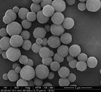 China Silane Magnetic Beads 500nm 50 mg/mL for Nucleic Acid Extraction Super Strong Magnetism for sale