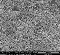China 100 mL Silica Magnetic Beads for DNA Extraction 500nm 50 mg/mL Super Strong Magnetism for sale