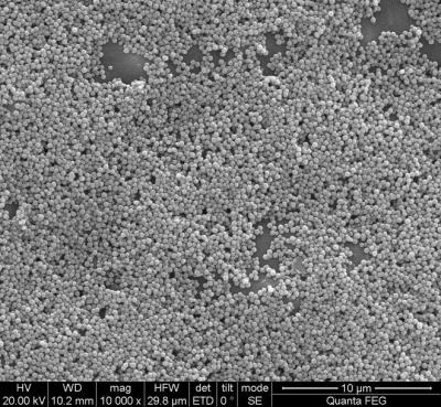 China 100 mL Silica Magnetic Beads for DNA Extraction 500nm 50 mg/mL Super Strong Magnetism for sale