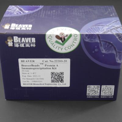 China 10 mg/mL Protein A/G Magnetic Beads Immunoprecipitation Kit - 20 Reactions, 1 Year Shelf Life for sale