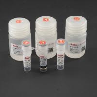 China 10 mg/mL Protein A/G Magnetic Beads Immunoprecipitation Kit for Target Protein Capture - 1 mL/5 mL Sizes for sale