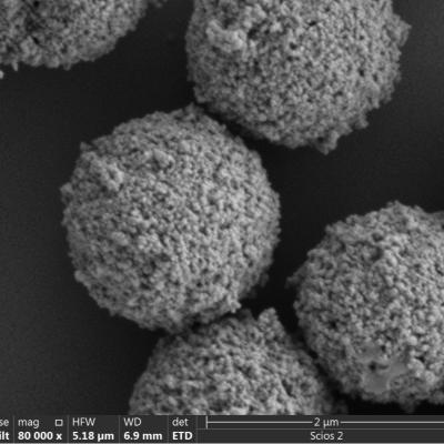 China Polymer Amino Magnetic Beads for Immunodiagnosis - 2μm Size, 10 mg/mL Concentration, 50 mL Volume for sale