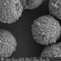 China Amino Magnetic Polymer Beads for Immunodiagnosis 2μm Size 10 mg/mL Concentration 5 mL Volume for sale