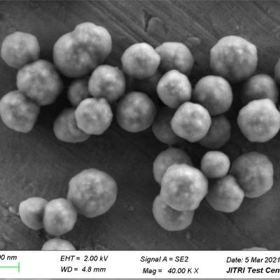 China Silica Carboxyl Magnetic Beads for DNA Extraction - 300nm Particle Size, 50 mg/mL Concentration, 2-Year Shelf Life for sale