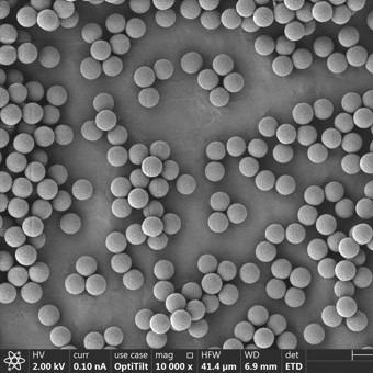 China Polymer Carboxyl Magbeads 2.8μm for Immunodiagnosis - 10 mg/mL Concentration in 5 mL Volume with Superparamagnetic Properties for sale
