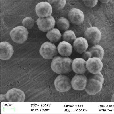 China Fe3O4 Silica Magnetic Beads for RNA Extraction - 300nm Particle Size, 50 mg/mL Concentration in 10 mL Volume for sale