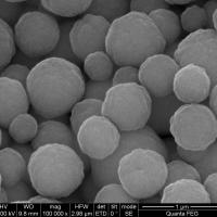 China 1μm Streptavidin Magnetic Beads for Cell Sorting and Probe Capture - 10 mg/mL Concentration with 1100 pmol/mg Biotin Binding Capacity for sale
