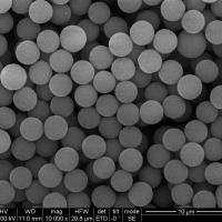 China 2.8μm Streptavidin Magnetic Beads for Cell Sorting 10 mg/mL Concentration with 450 pmol/mg Oligonucleotide Binding for sale