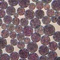 China NHS Activated Magnetic Beads 10-30 μm with 20% Volume Ratio for Protein Conjugation and Immunoassays for sale