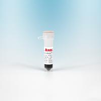 China NHS Magnetic Polymer Beads Preactivated N-Hydroxy Succinimide Nanoparticle 2 μm with 50 μM/mL Ligand Content for sale