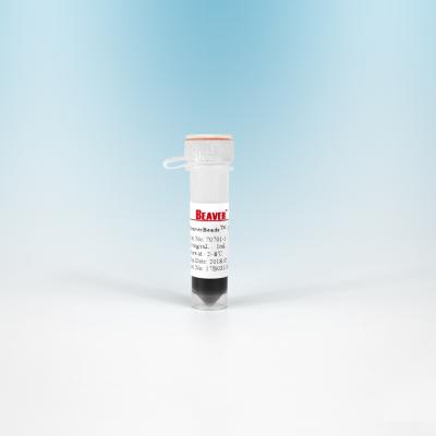 China NHS Magnetic Polymer Beads Preactivated N-Hydroxy Succinimide Nanoparticle 2 μm with 50 μM/mL Ligand Content for sale