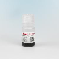 China Agarose DEAE Magnetic Beads for Protein Purification 30-150 μm Size 10% Volume Ratio 5 mL Capacity for sale