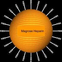 China Agarose Heparin Protein Purification Magnetic Beads 30-150 μm, 10% Volume Ratio, 1000 mL Capacity for sale