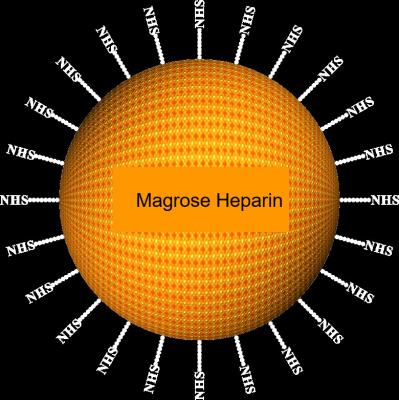 China Agarose Heparin Protein Purification Magnetic Beads 30-150 μm, 10% Volume Ratio, 1000 mL Capacity for sale