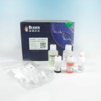 China His Tag Protein Purification IDA Nickel Magbeads Kit 30-150 μm 10% Volume for sale