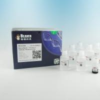 China Protein A Antibody Magnetic Beads Purification Kit - 2μm Size, 30 mg/mL Capacity, 5 mL Volume for Rapid Antibody Isolation for sale