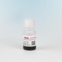 China Strep-tag II Magnetic Agarose Beads 30-150 μm 10% Volume Ratio 5 mL for Protein Purification for sale