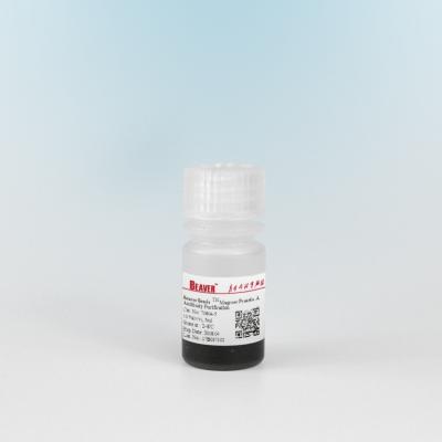 China Magrose Protein A Magnetic Beads 30-150 μm 10% v/v for Antibody Purification 25-30 mg/mL Capacity for sale
