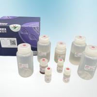 China BeaverBeads Circulating DNA Extraction Kit for 0.2-5 mL Serum/Plasma Samples with 20μL Elution Volume and 2-Year Shelf Life for sale