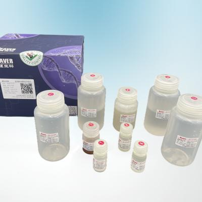 China BeaverBeads Circulating DNA Extraction Kit for 0.2-5 mL Serum/Plasma Samples with 20μL Elution Volume and 2-Year Shelf Life for sale
