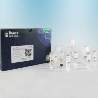 China BeaverBeads Viral DNA RNA Extraction Kit 2mL with 40mL Lysis Buffer for High-Throughput Nucleic Acid Purification for sale