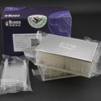 China Viral DNA RNA Extraction Kit Prefilled Plates 32 Reactions U Bottom for Automated Nucleic Acid Purification for sale