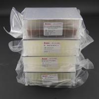 China Viral DNA/RNA Extraction Kit with Prefilled 96-Well Plates - 620μL Lysis Buffer, 10-Minute Processing for sale