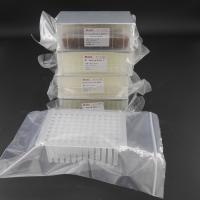China V Bottom Viral DNA RNA Extraction Kit with Prefilled Plates - 96 Reactions, 10-Minute Processing, Automated Nucleic Acid Purification for sale