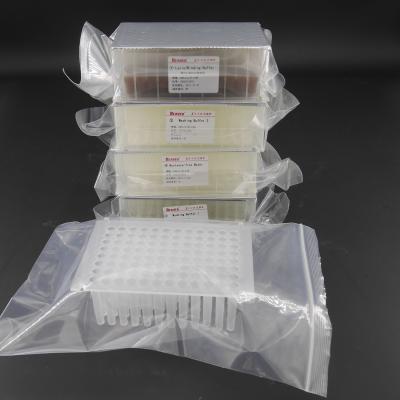 China V Bottom Viral DNA RNA Extraction Kit with Prefilled Plates - 96 Reactions, 10-Minute Processing, Automated Nucleic Acid Purification for sale
