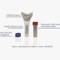 China 10mL Saliva Sample Collection Kit for DNA/RNA Analysis with 24-Month Shelf Life and Room Temperature Storage for sale