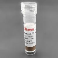 China 300nm Silica Carboxyl Magnetic Beads for RNA/DNA Extraction - 50 mg/mL Concentration, 2-Year Shelf Life for sale