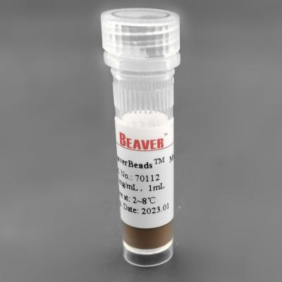 China 300nm Silica Carboxyl Magnetic Beads for RNA/DNA Extraction - 50 mg/mL Concentration, 2-Year Shelf Life for sale