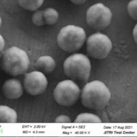 China Viral RNA Extraction Carboxyl Magnetic Beads 500nm 10 mg/mL 5 mL for DNA Purification and cfDNA Applications for sale