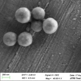 China 50 mL 500nm Silica Magnetic Beads for DNA Extraction - 10 mg/mL Concentration with 50 emu/g Magnetization for sale