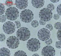 China Agarose Carboxyl Magbeads 10-30 μm for Protein Purification with 1000 μmol/ml Carboxyl Content and 20% Ethanol Solution for sale