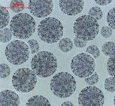 China Agarose Carboxyl Magbeads 10-30 μm for Protein Purification with 1000 μmol/ml Carboxyl Content and 20% Ethanol Solution for sale