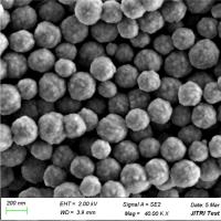 China 300nm Carboxyl Magnetic Beads for DNA Extraction - 50 mg/mL Concentration, 2-Year Shelf Life for sale