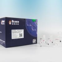 China Protein A Magnetic Beads for Immunoprecipitation - 300μg IgG Binding Capacity, 25μL Reaction Volume for sale